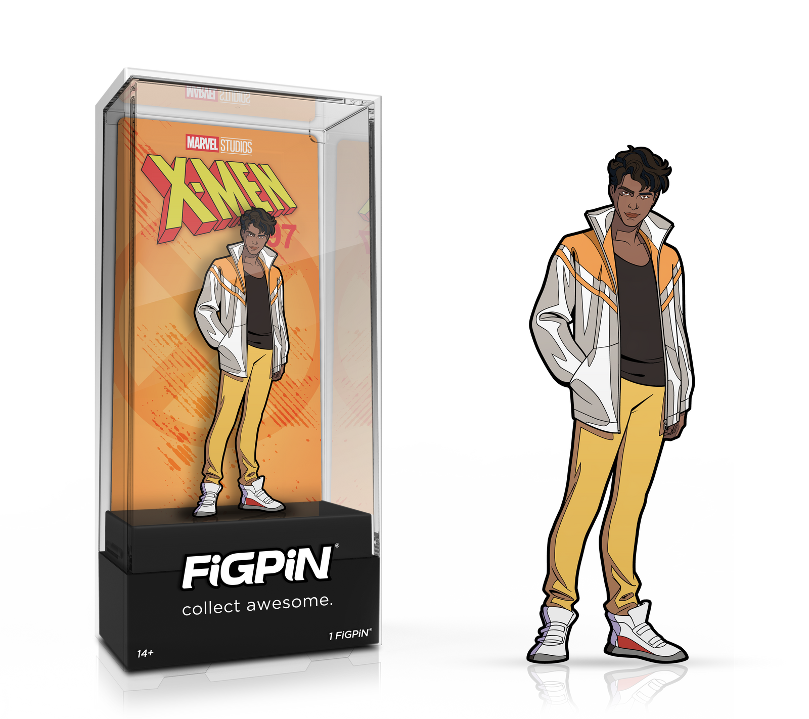 FiGPiN Standard
