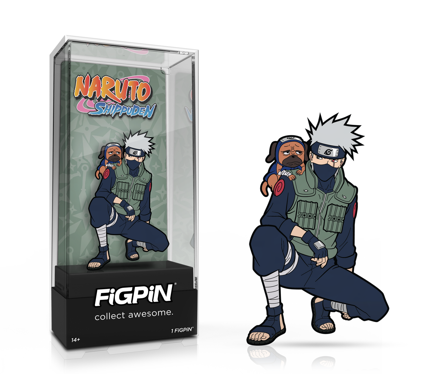 FiGPiN Standard – Page 2