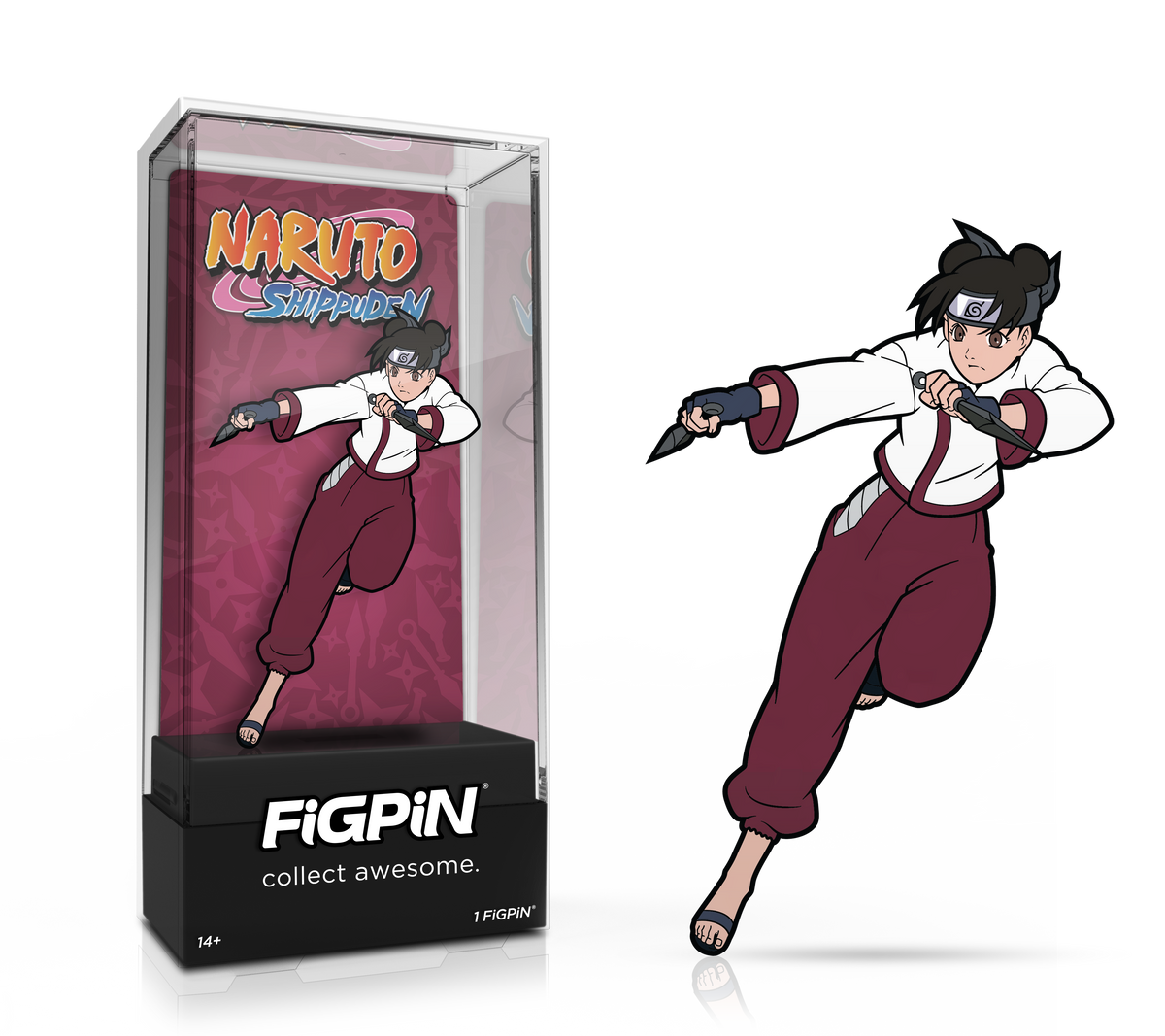 FiGPiN Standard – Page 2