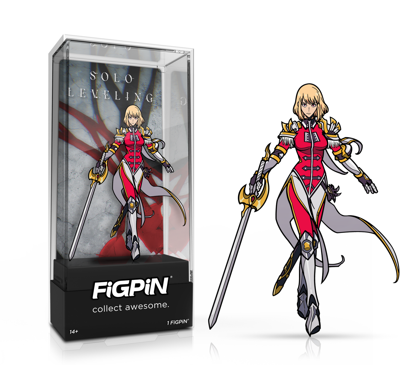 FiGPiN Standard