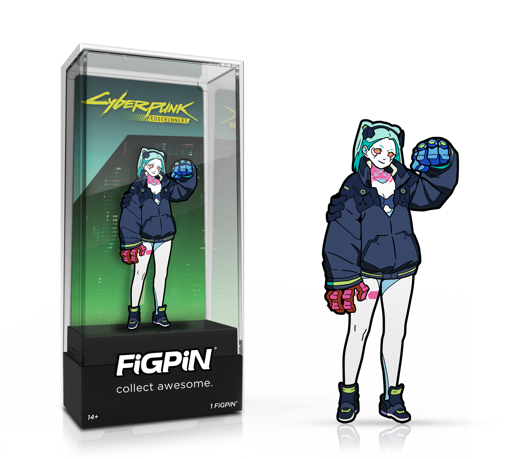 FiGPiN Standard