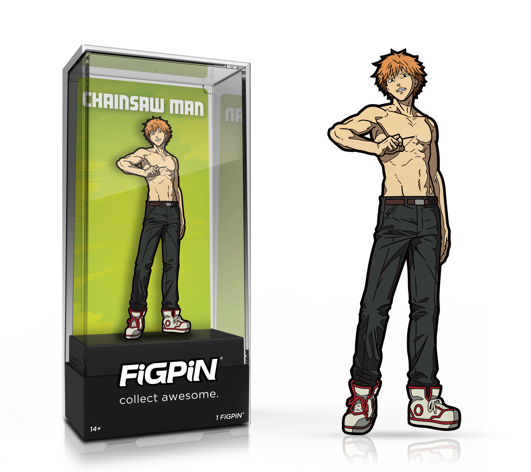 FiGPiN Standard